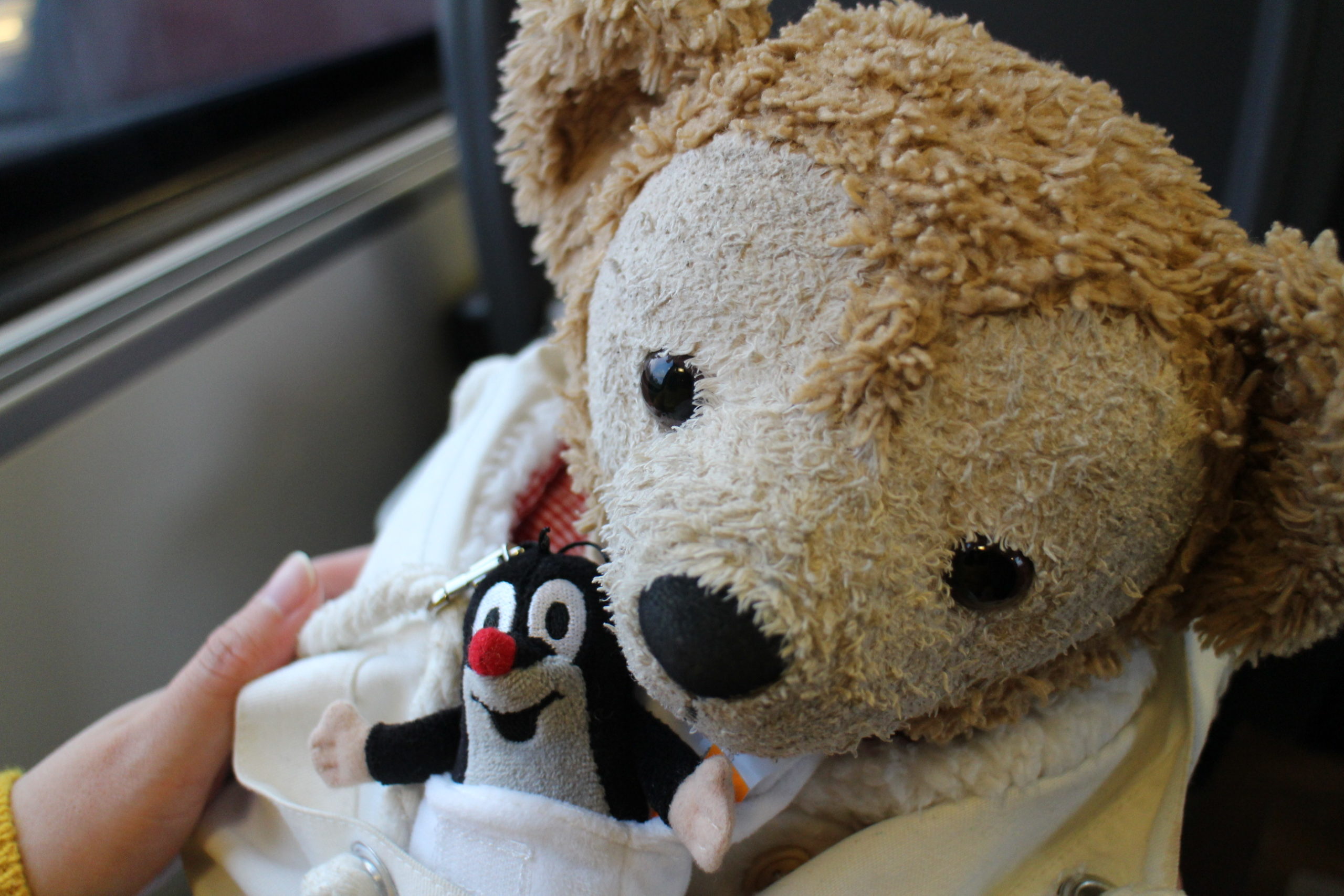 IMG_0302 – くま旅