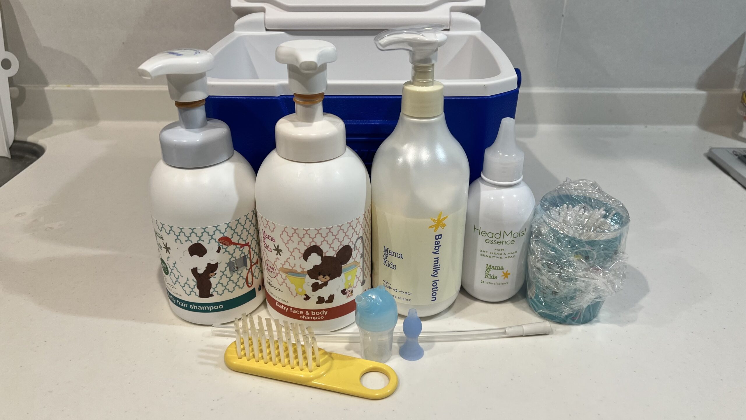 IMG_8698 – くま旅