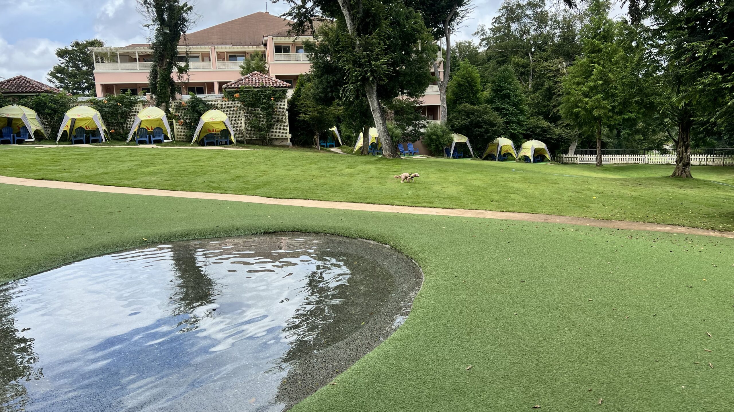 IMG_8771 – くま旅