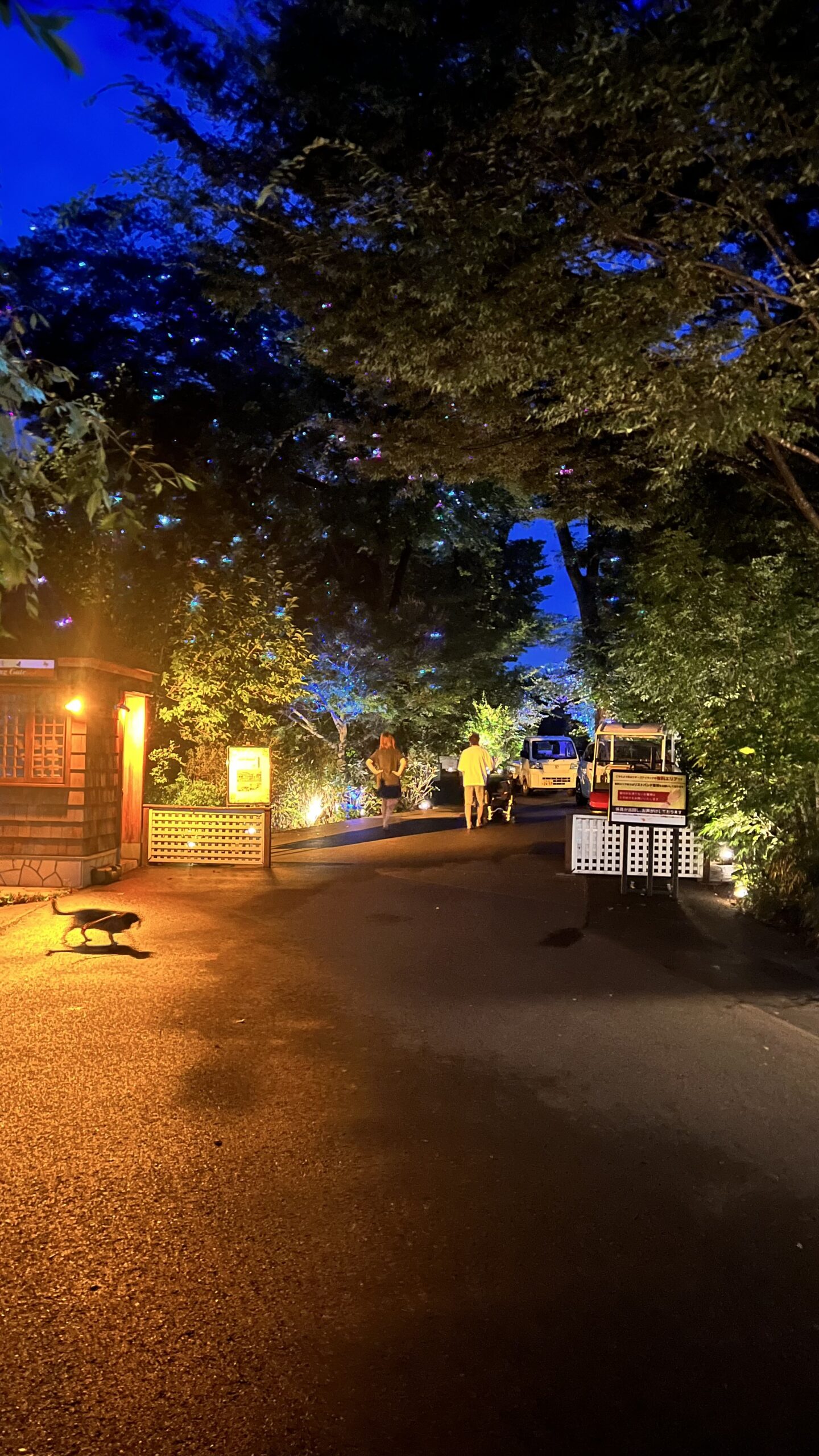 IMG_8930 – くま旅