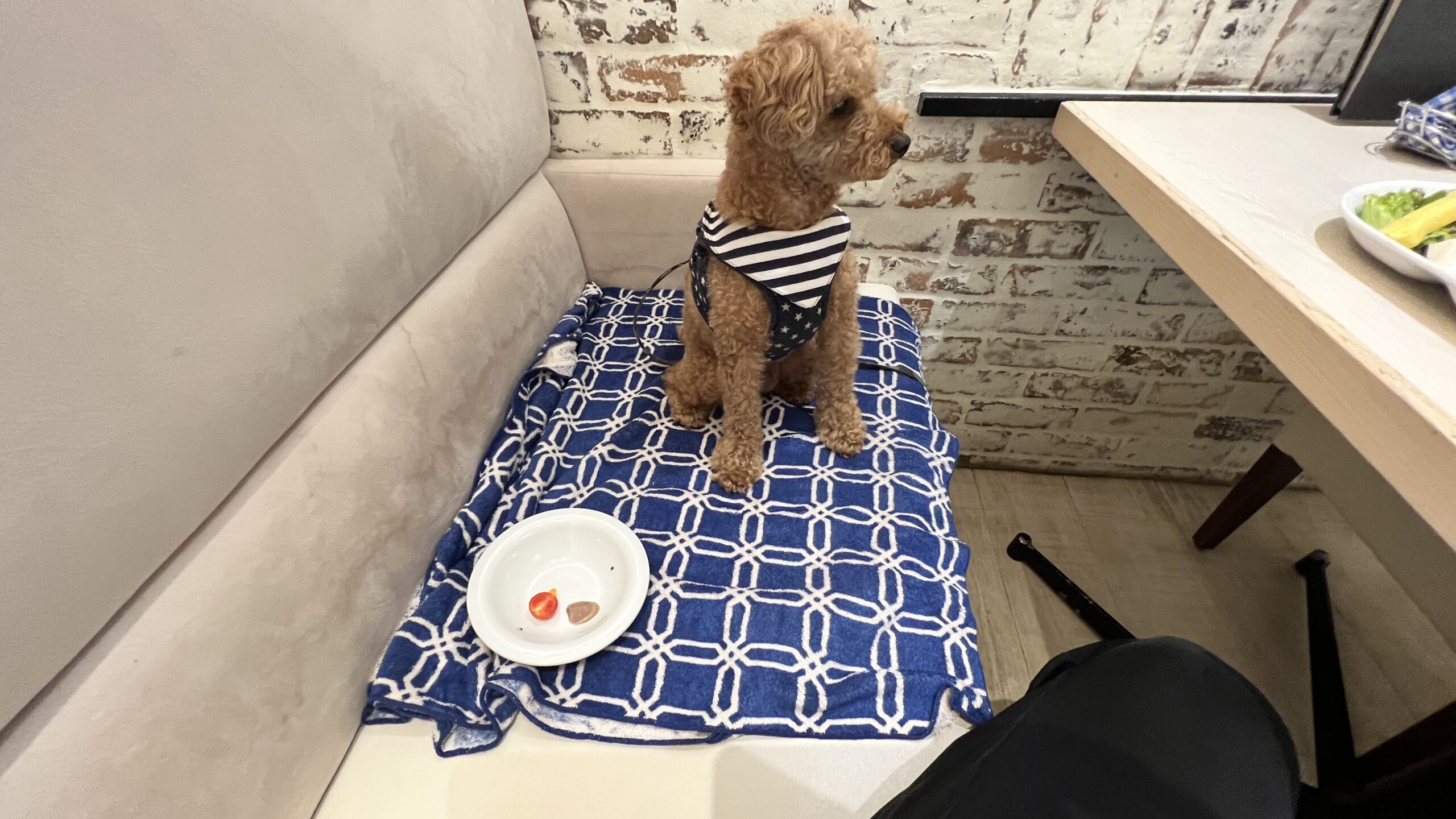 IMG_8977 – くま旅