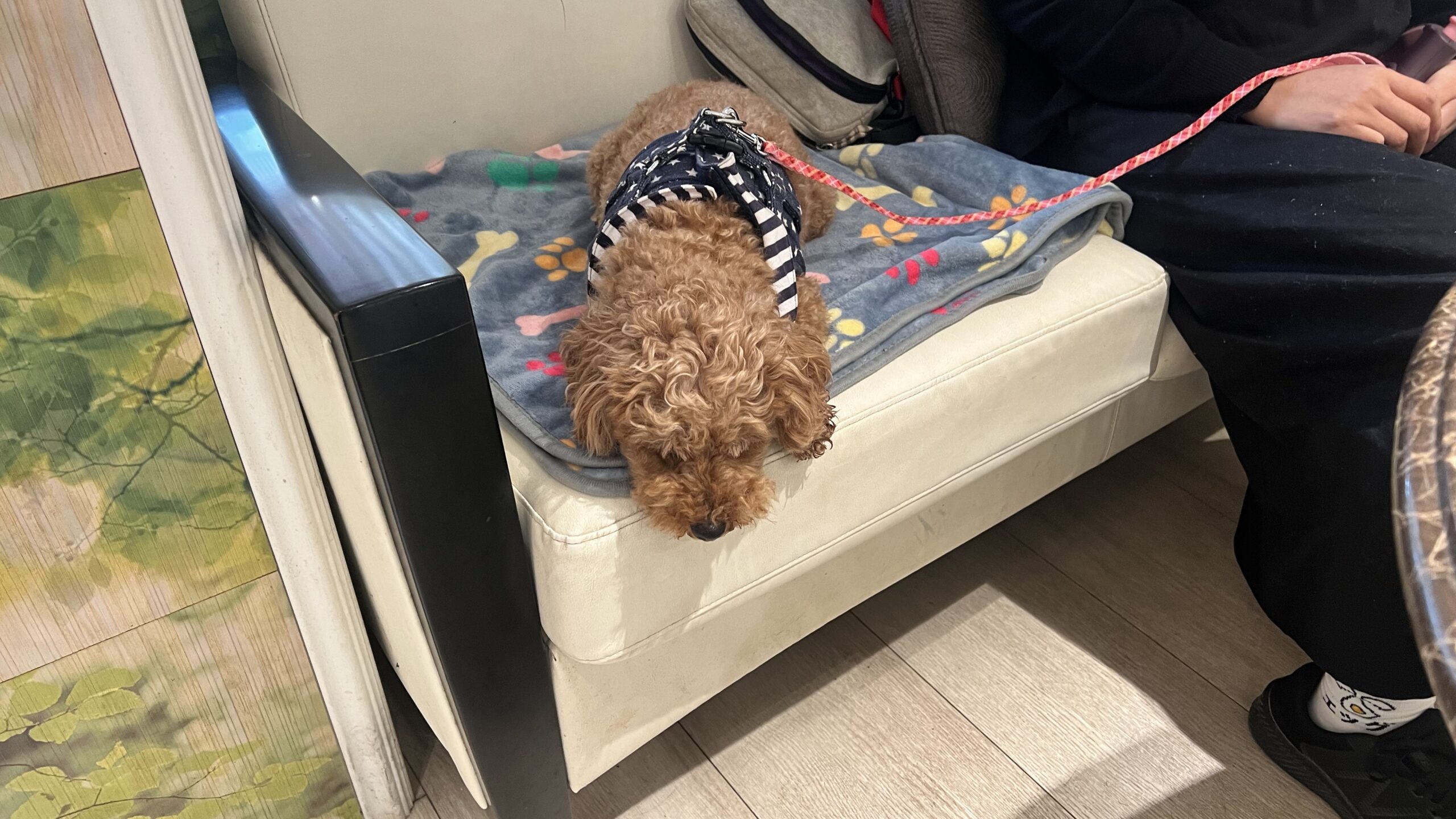 IMG_1433 – くま旅