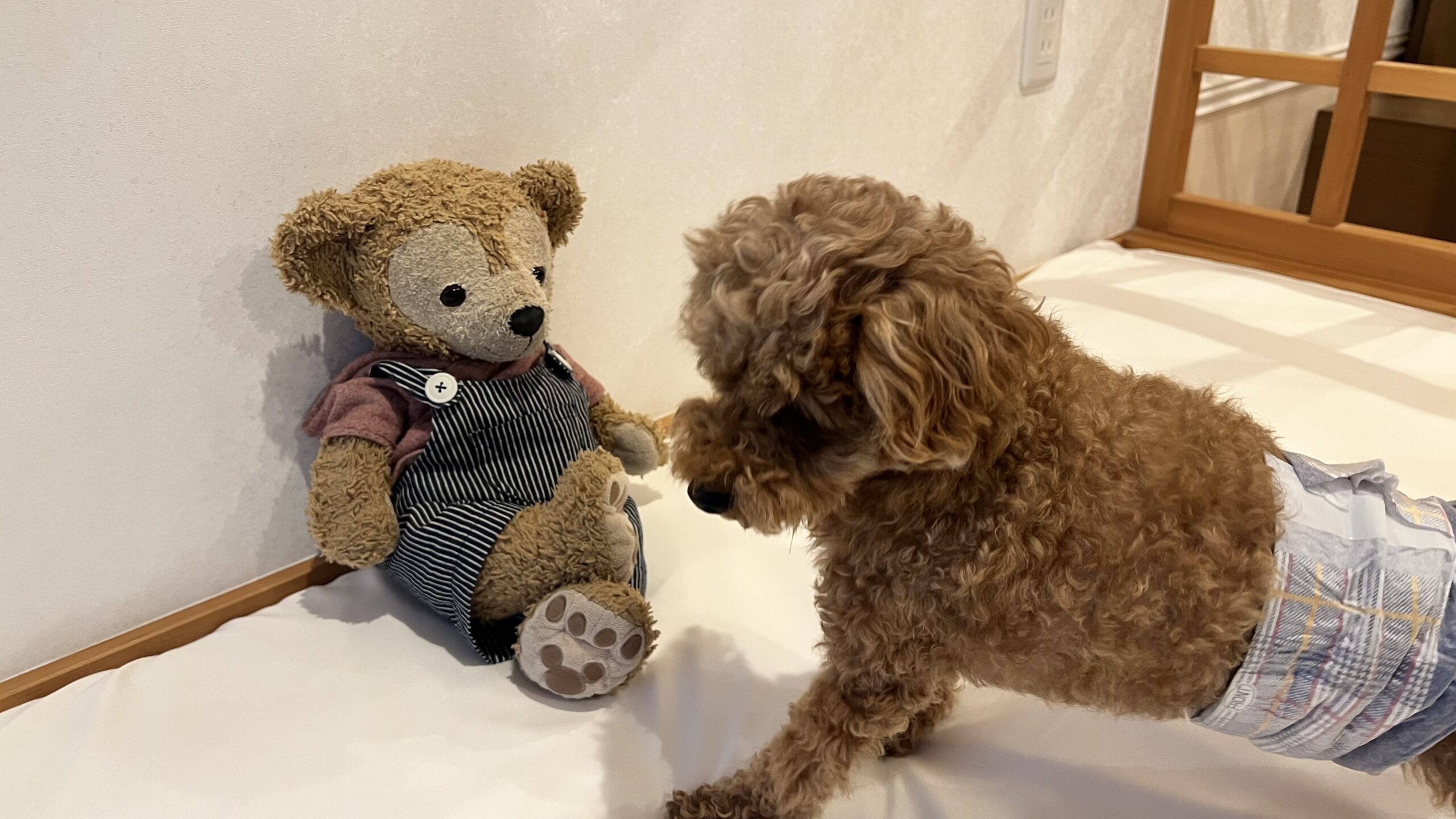 IMG_1534 – くま旅